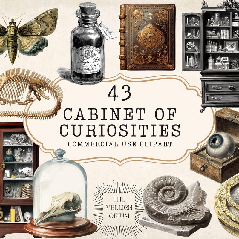 Antique Curiosities - Etsy
