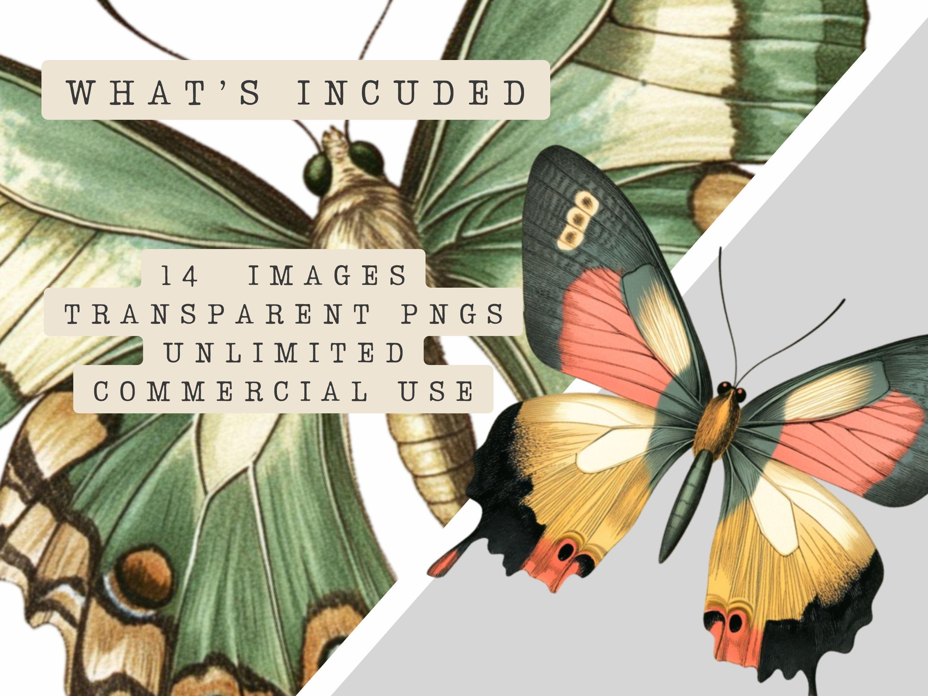 Vintage Butterfly Clipart Bundle | Retro Butterflies | Ephemera for ...