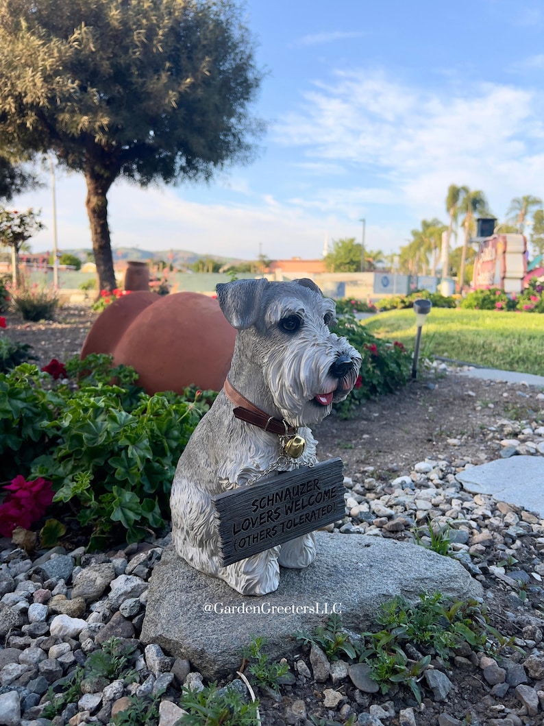 Schnauzer Dog Statue With Reversible Sign: Indoor/outdoor Garden ...