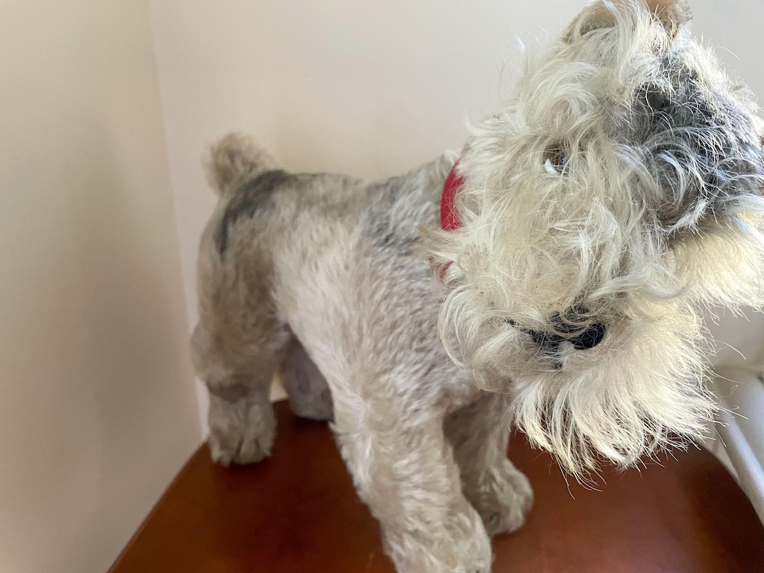 Vintage Steiff Dog Tessie Schnauzer Squeaker 1960s Retro Christmas Mid ...