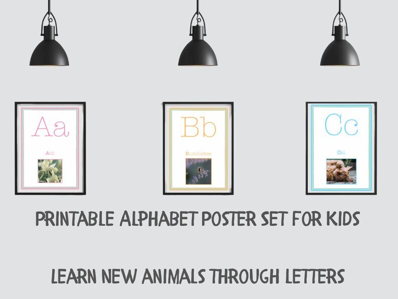 Animal Alphabet Printable Posters for Kids - Etsy