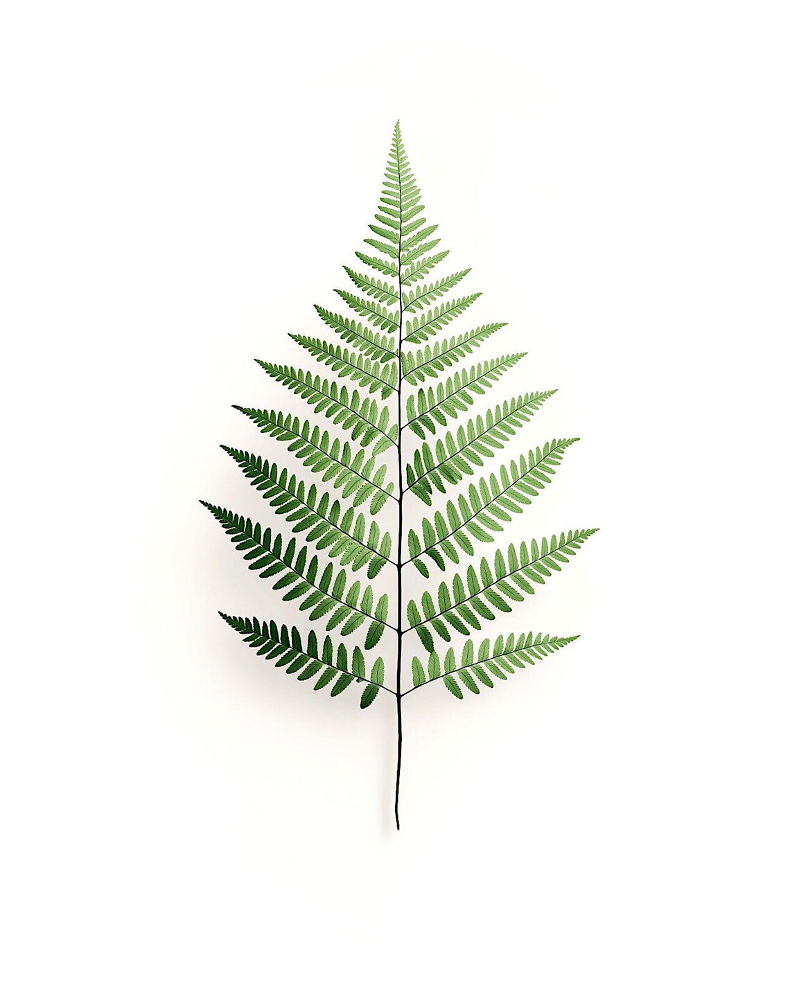 Minimalist Green Fern Wall Art Botanical Printable Home Decor, Digital ...