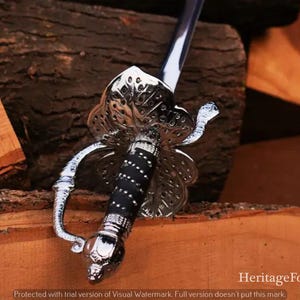 Zorro Sword, Rapier Sword of Zorro From Legend of Zorro, Boy Friend ...