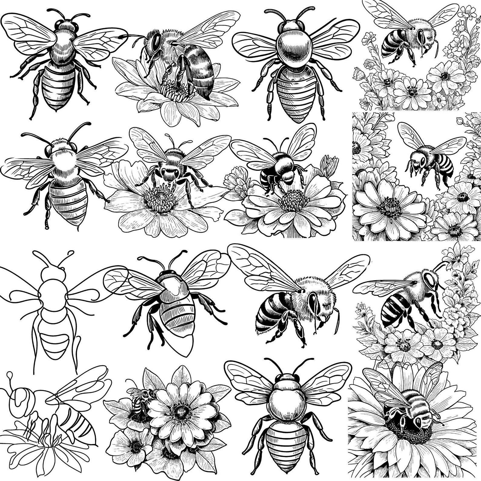 Bee Svg Bundle L Bee Png Bundle L Bee Bundle L Bee With Folwers Clip Art L High Resolution