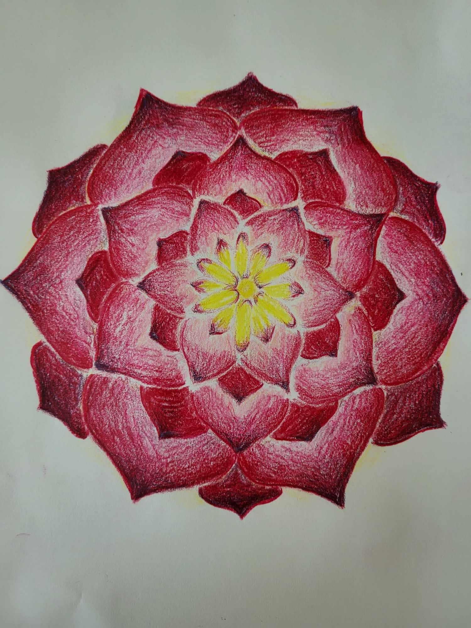 Waldorf 5th Free-hand Geometry - Etsy