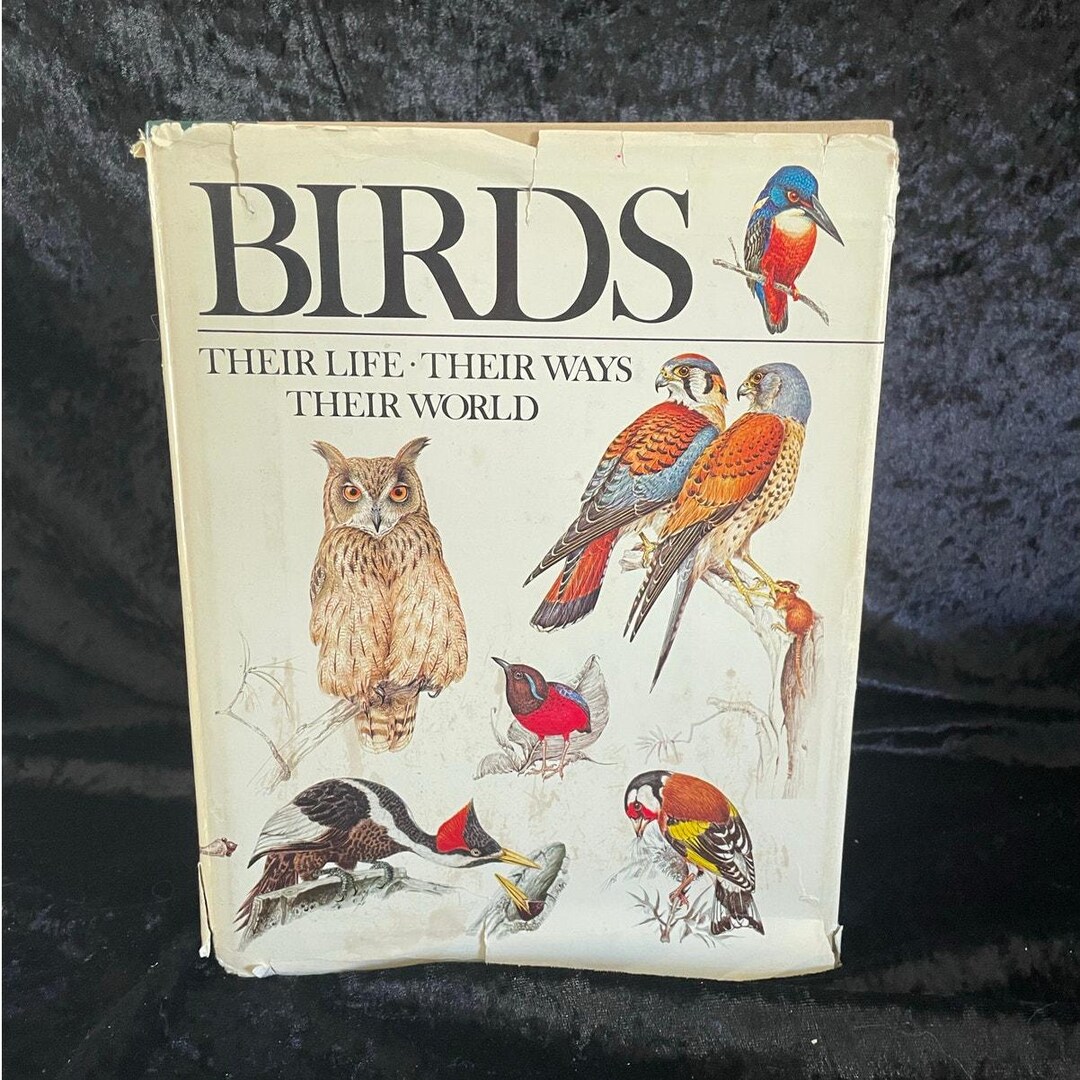 Birds by Christopher Perrins | 1979 | Vintage Ornithology Book - Etsy