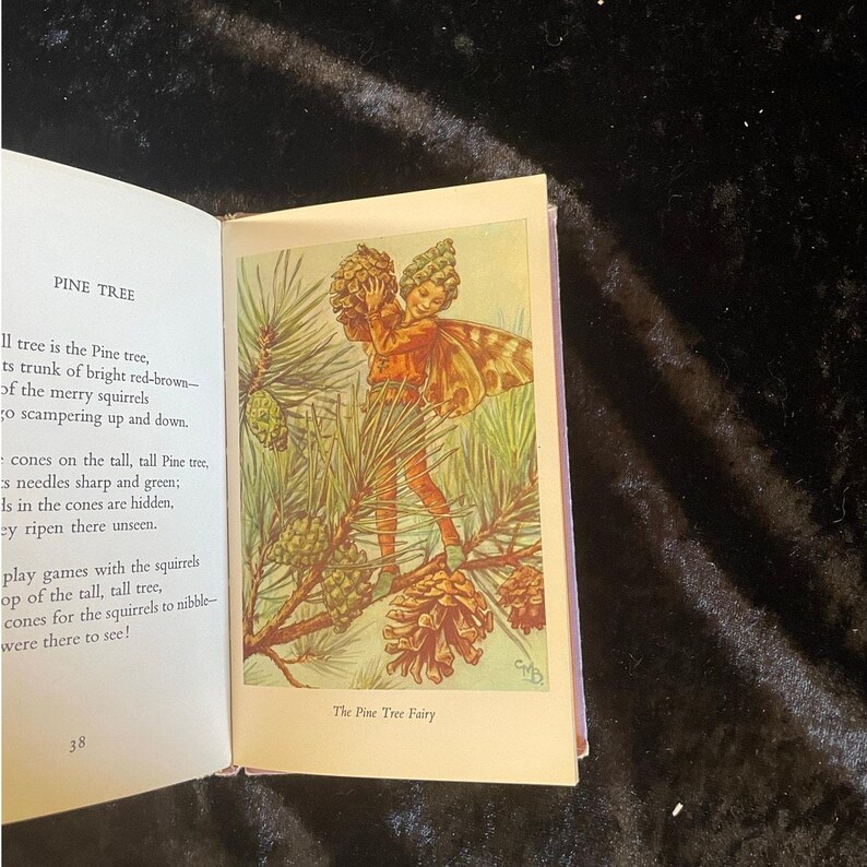 Flower Fairies of the Trees - 1974 Vintage Fairy Book - Etsy