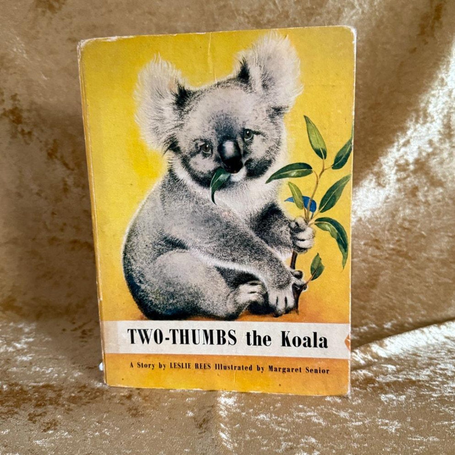 Two-thumbs the Koala by Leslie Rees | 1970 | Vintage Australian Book - Etsy