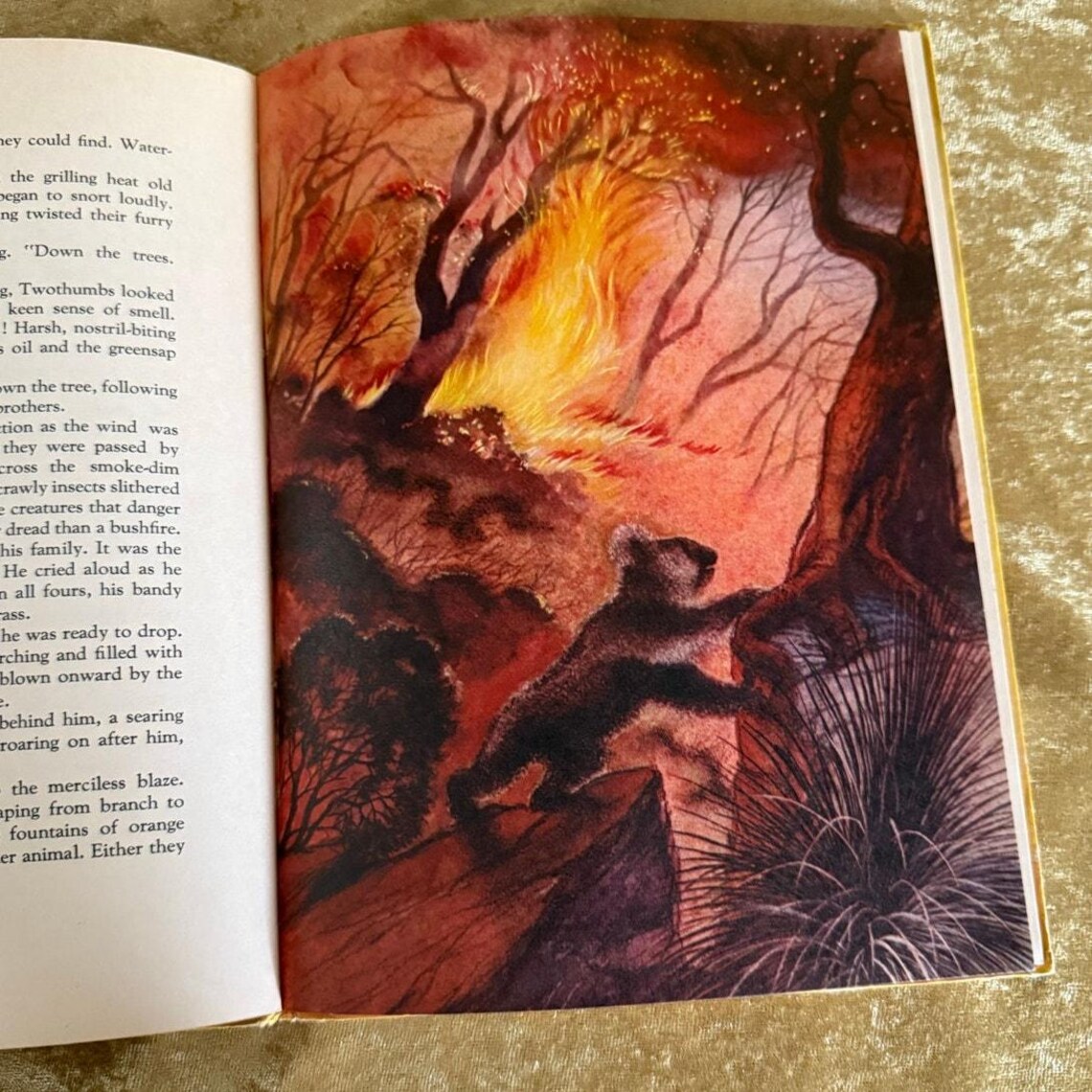 Two-thumbs the Koala by Leslie Rees | 1970 | Vintage Australian Book - Etsy
