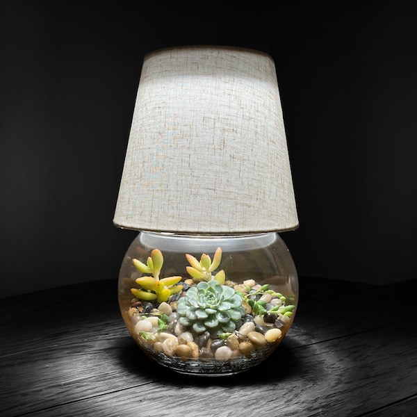 Terrarium Lamp - Etsy