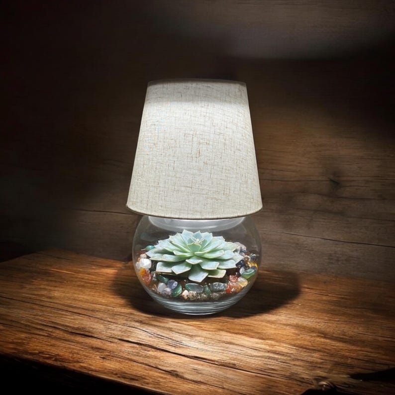 Terrarium Lamp DIY Kit - Etsy