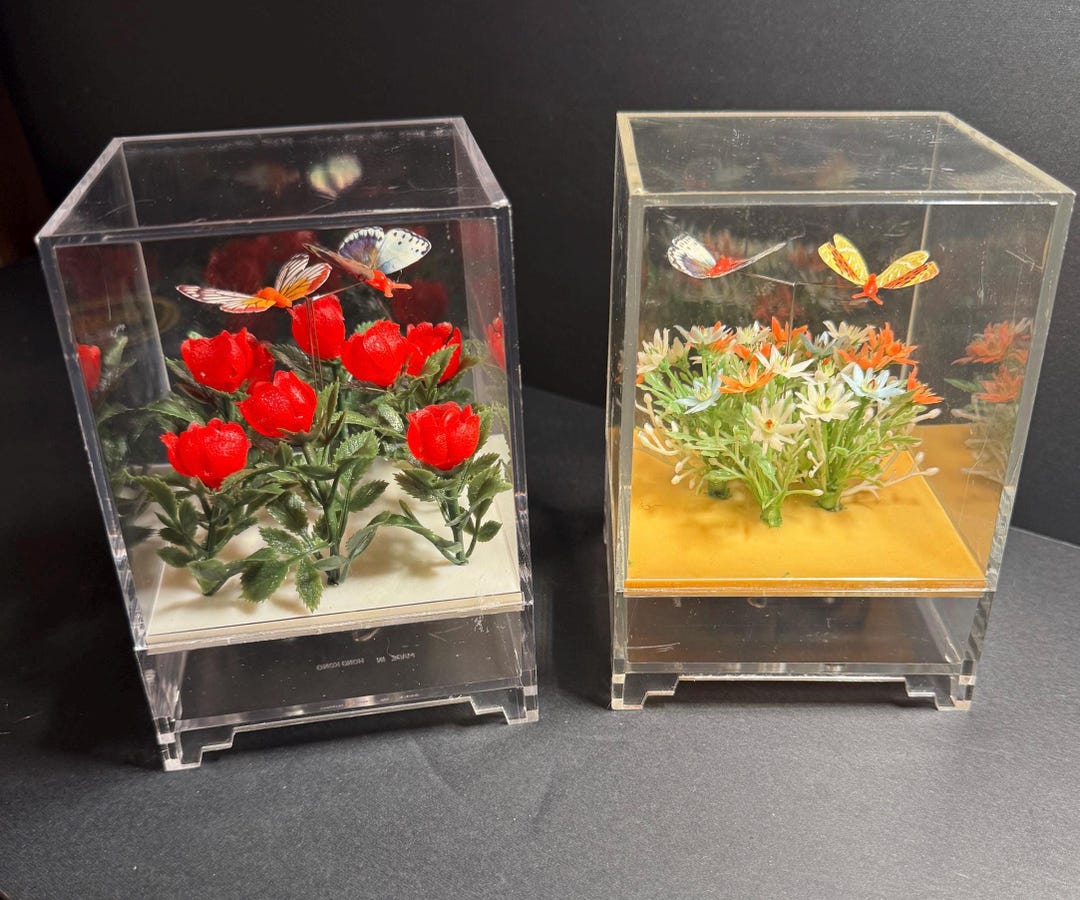 Trippy Garden Diorama Music Box Set of 2, Plant Lover Gift Idea, Plays ...