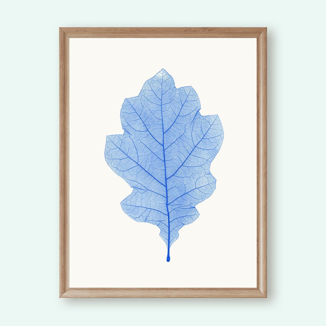 Blue Oak Leaf Print, Pressed Leaf Wall Art, Leaf Vein Artwork, Leaf ...