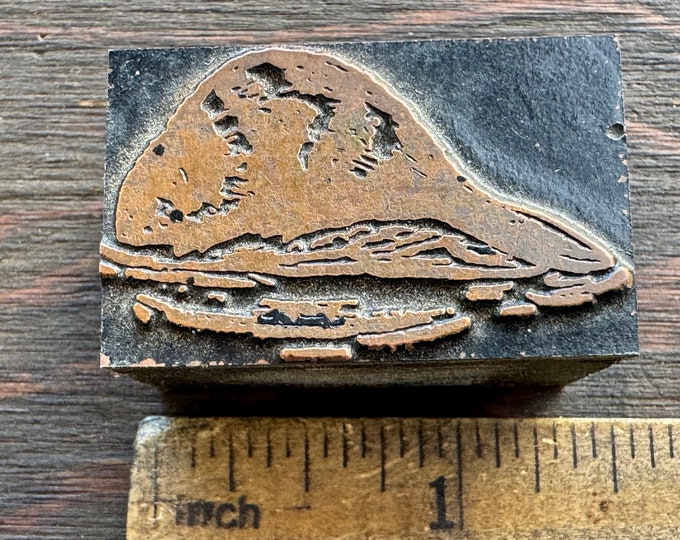 Antique Letterpress Copper PRINTING BLOCK - Beaver - Etsy