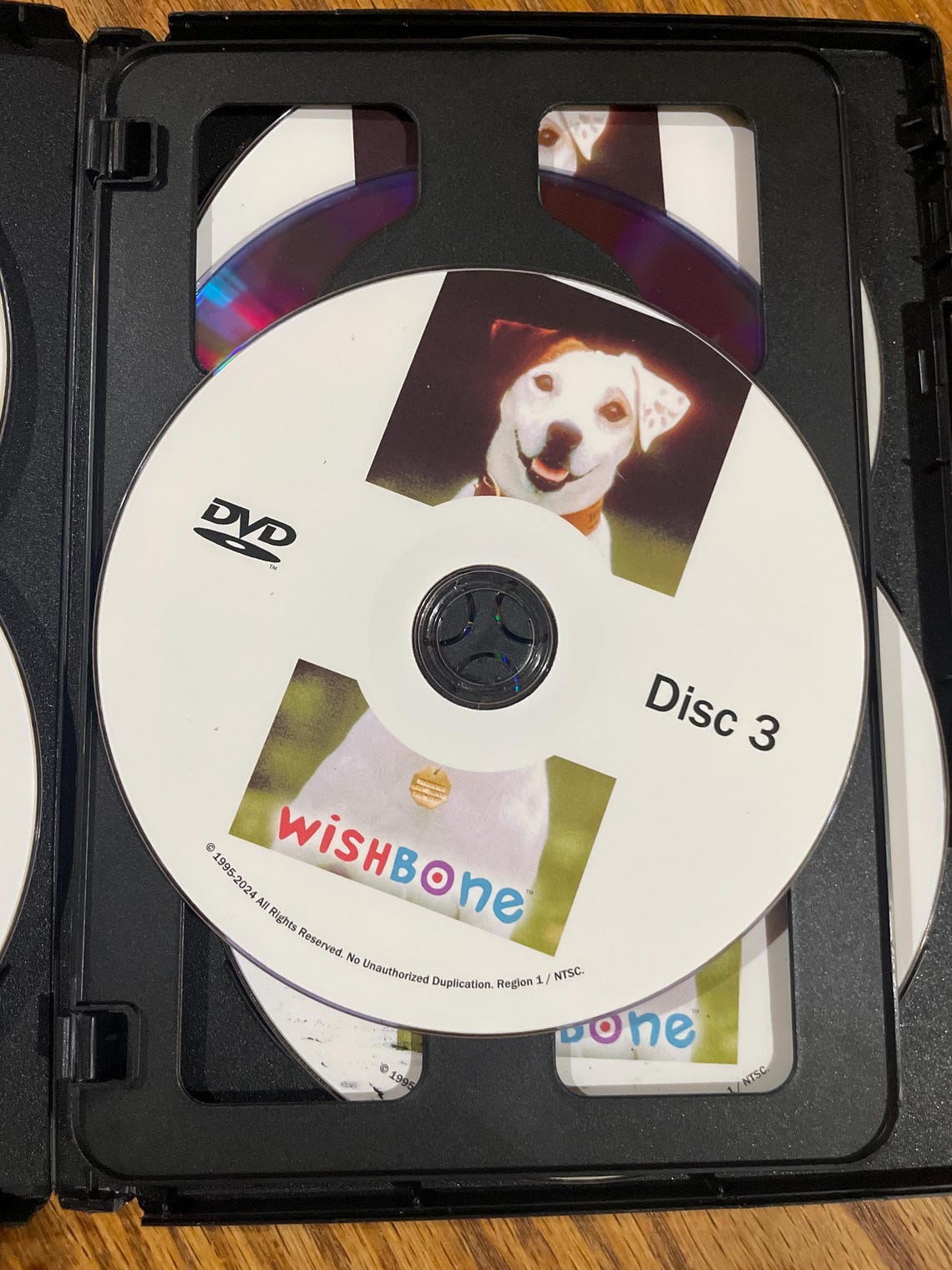 Wishbone Complete Series DVD (season 1 2 + Dog Days of the West Movie) - Etsy