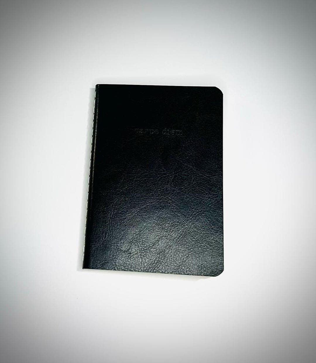 Carpe Diem Notebook, Black, Dotted Pages, Pocket Journal for Creativity ...