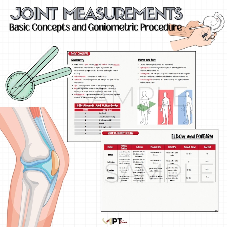 Range of Motion Chart: Physical & Occupational Therapy (digital ...