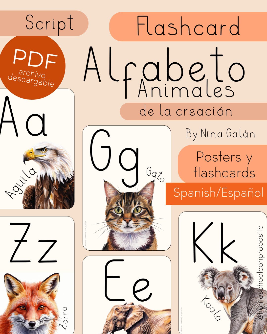 Animal Alphabet Flashcards | SCRIPT | Spanish Letters With Watercolor ...
