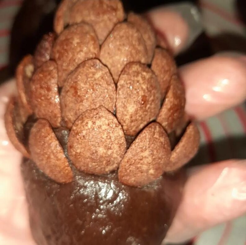 Chocolate Pine Cone Small Cake, 12pieces, Delicious, Beautiful, Suitable for the New Year and ...