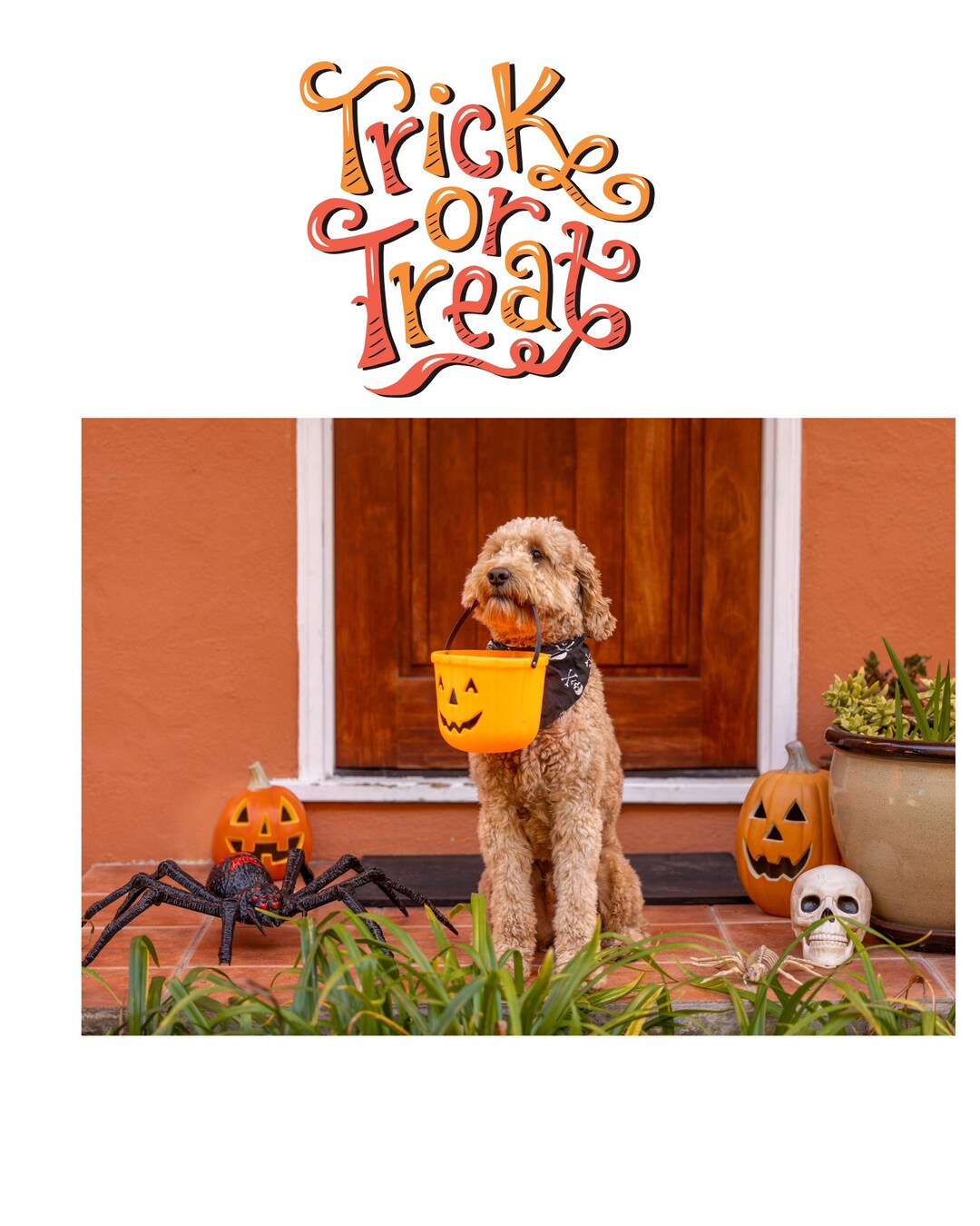 Trick or Treat, Doodle Feet! Goldendoodle Halloween Printable Wall Art ...