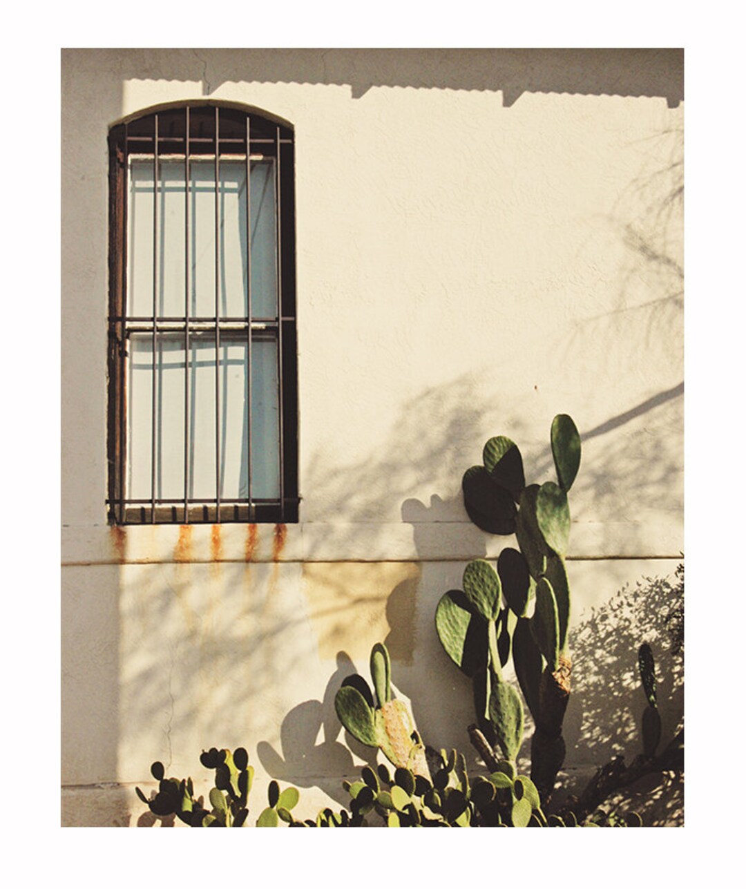 Southwest Window Photography, Dark Rustic Southwestern Decor, Cactus ...