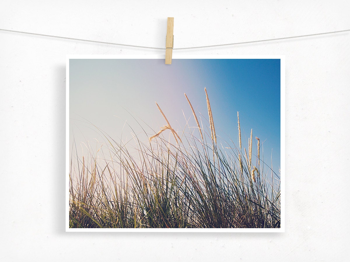 Summer Beach Photography, Nature Photography, Beach Grass, Blue Soft ...