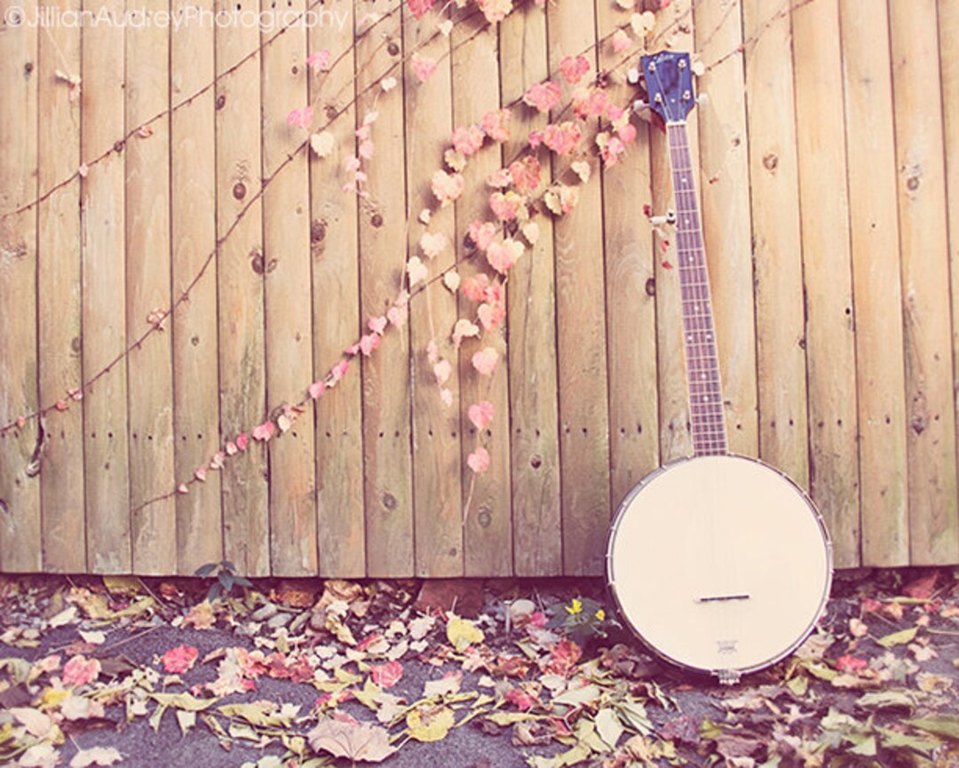 Banjo Photograph, Musical Photography, Pretty Pastel Home Decor, Brown ...