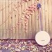 Portrait Photograph, Banjo Player Portrait, Fashion Photography, Autumn ...