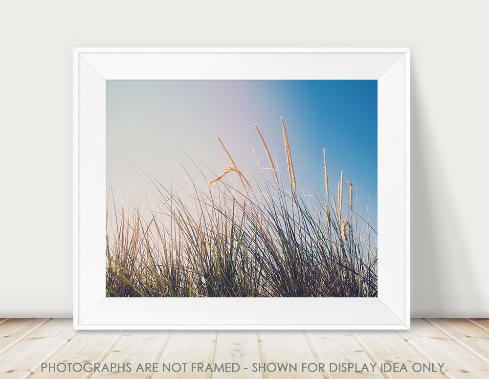 Summer Beach Photography, Nature Photography, Beach Grass, Blue Soft ...