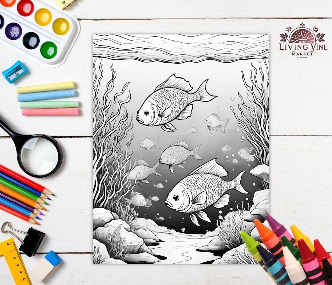 The Creation Story Children’s Coloring Book – 25 Pages of Fun, Faith ...