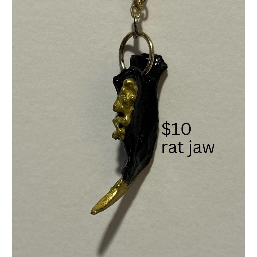Rat Jaw Bone Necklace - Etsy