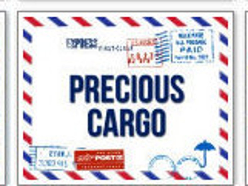 Precious Cargo precious Cargo Baby Shower Sign DIGITAL FILE - Etsy