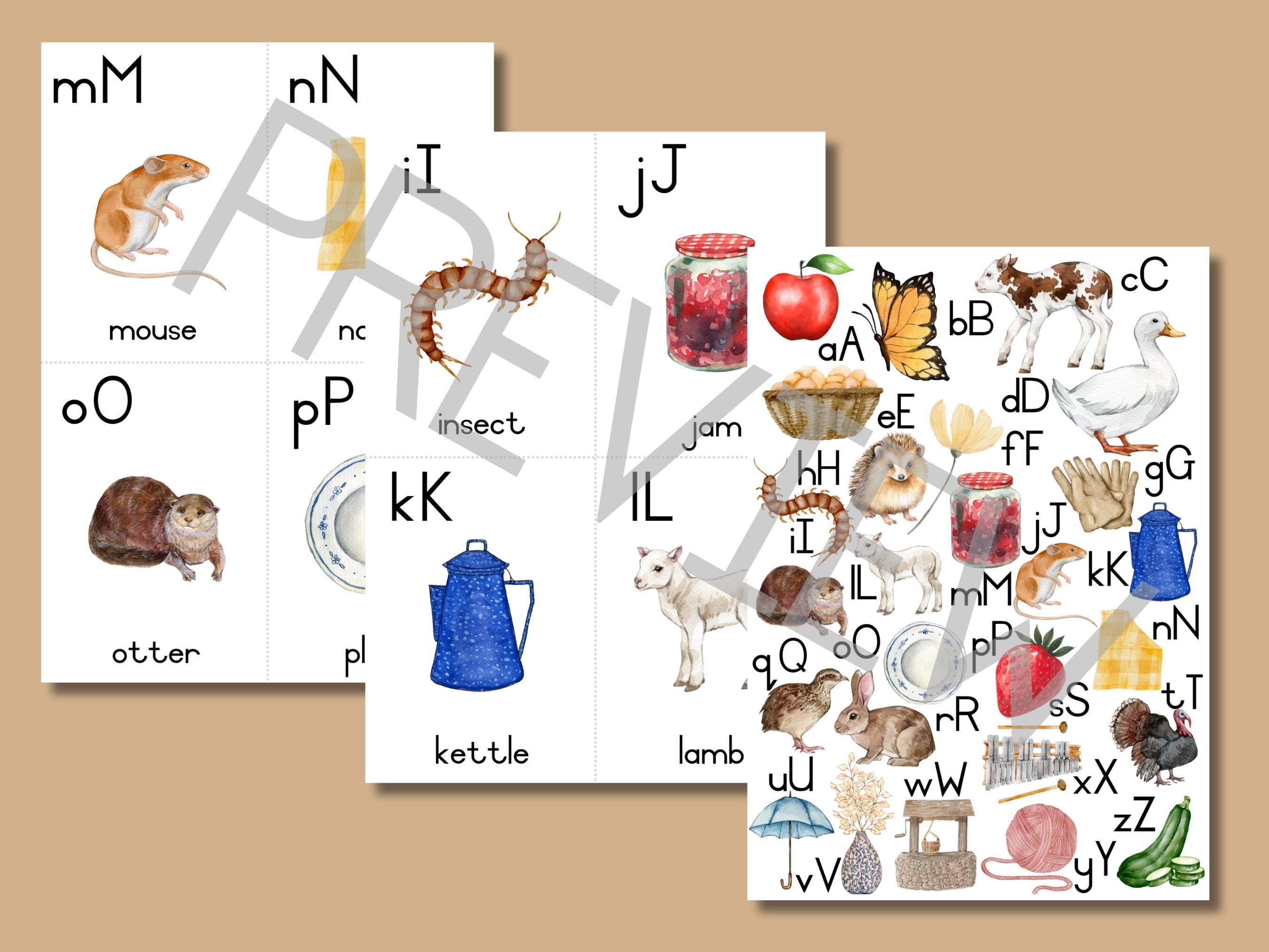 Alphabet Poster Flash Cards || Letter Sounds and Letter Names ...