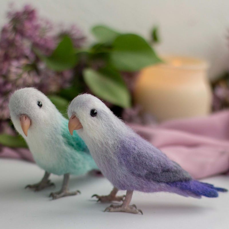 Needle Felted Parrot - Etsy