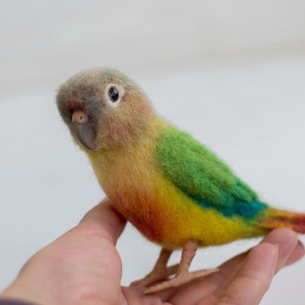 Needle Felted Parrot - Etsy