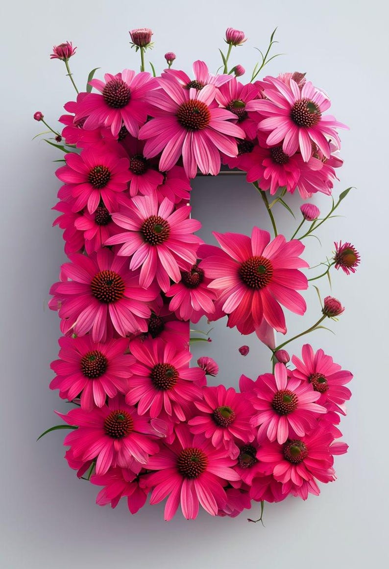 Floral in Bloom Echinacea, Alphabet Letters in Digital Download ...