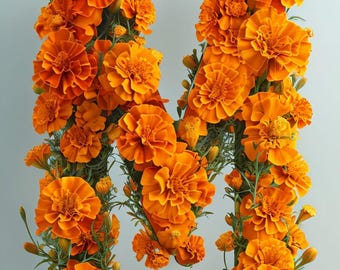 Floral in Bloom Rose, Alphabet Letters in Digital Download, Letters in ...