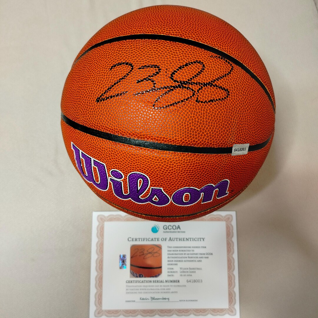 Lebron James Signed Autographed Wilson Los Angeles Lakers Basketball ...