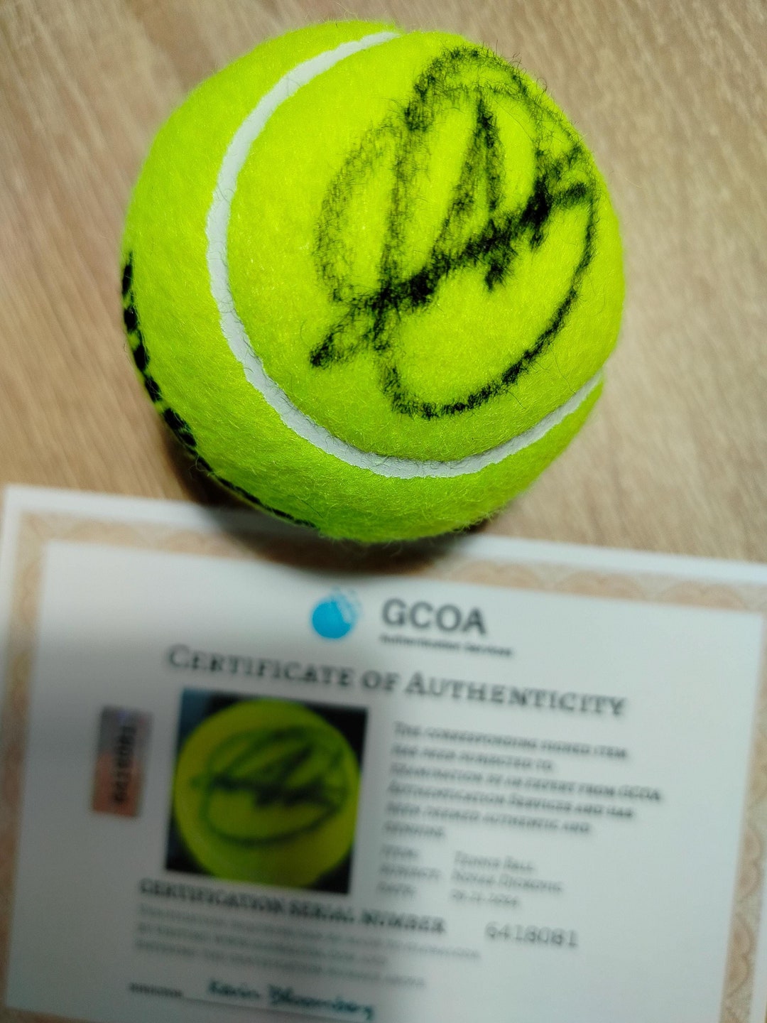 Novak Djokovic Signed Autographed Wilson US Open Ball With COA - Etsy