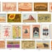 20 US Vintage Postage Stamps .. Shades of ORANGE .. Curated Collection ...
