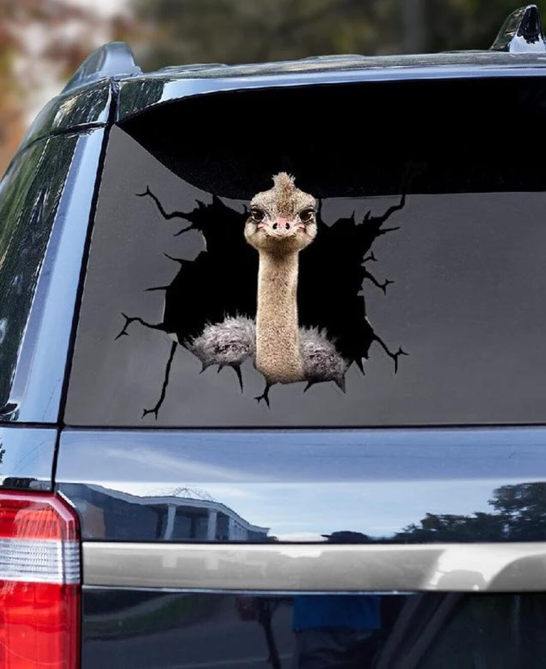 Ostrich Vinyl Decal for Car, Funny Ostrich Bumper Sticker, Ostrich ...