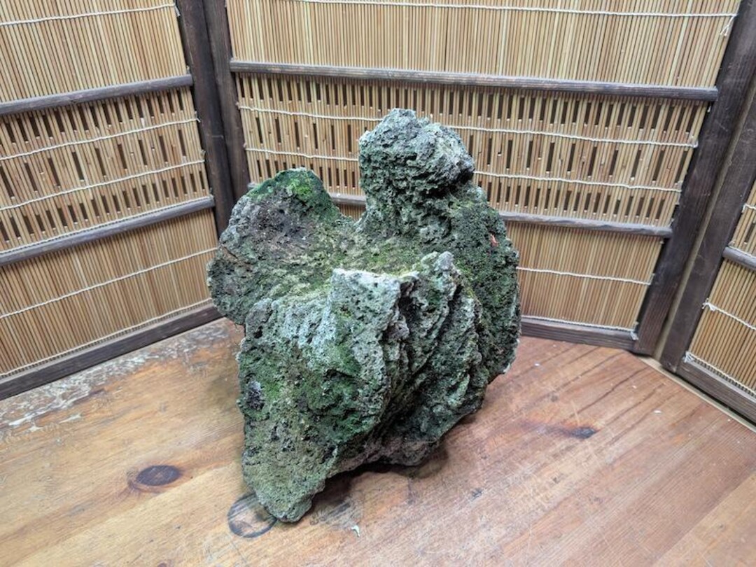 Rare 1970s Japanese Karui Ishi Stone • 2.8kg Wabi Sabi Rock • Bonsai ...