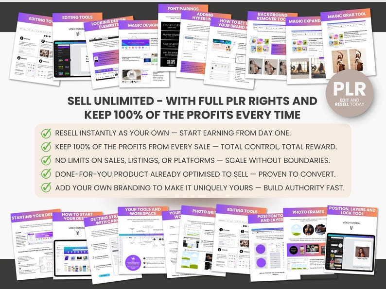 Crash Course for Canva Beginners, Learn Canva Fast With Editable PLR ...