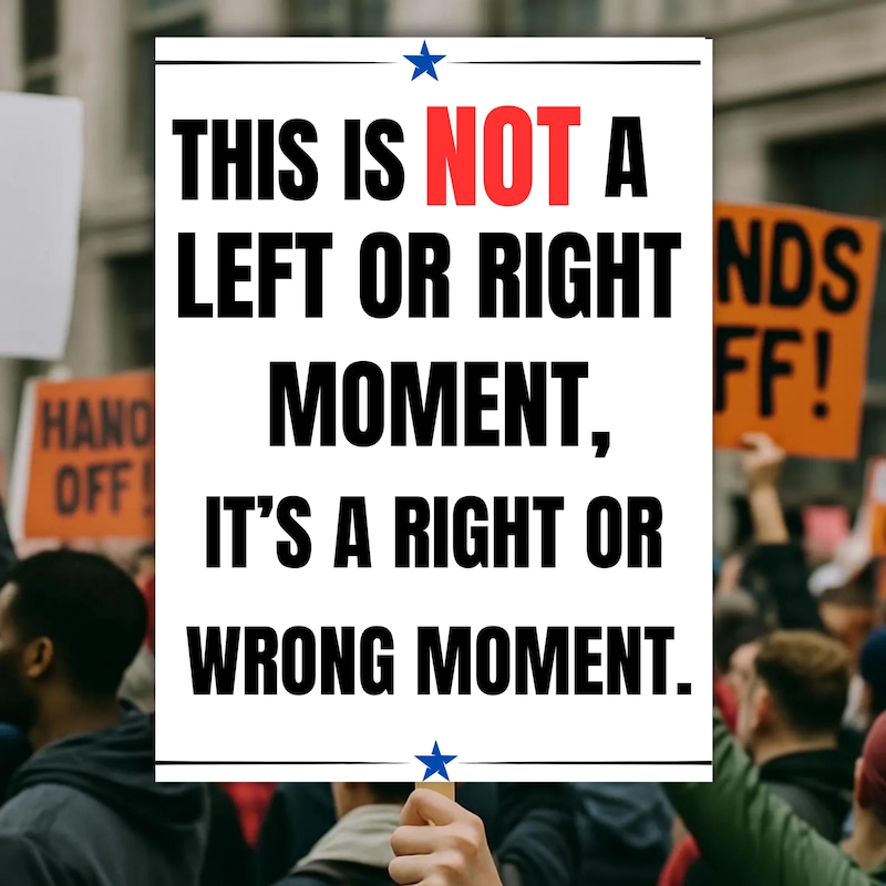 Democracy Protest Sign - Etsy