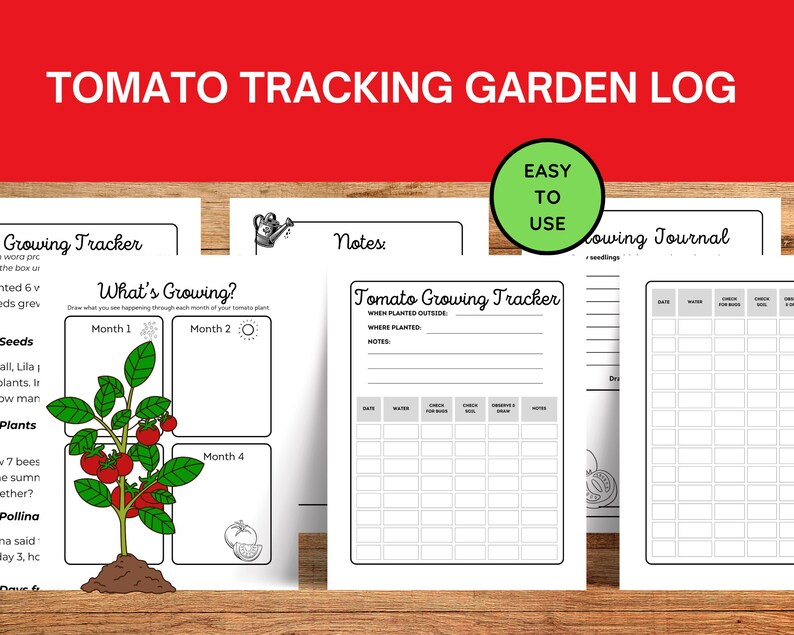 Kids Grow a Tomato Plant From Seed Science Garden Unit Study Garden ...