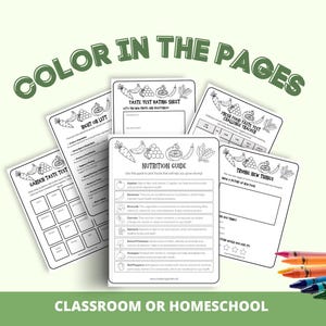 Healthy Eating Habits for Fruit & Vegetable Taste Testing Real Food ...