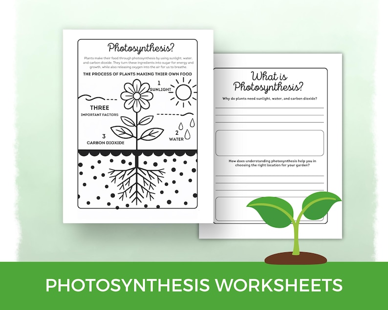 Photosynthesis Science Worksheets for Kids With Journal and Coloring ...