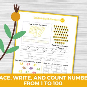 100-page Garden Number Tracing & Math Practice Pack for Preschool and ...