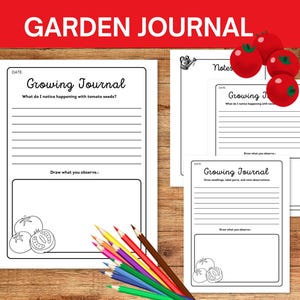 Kids Grow a Tomato Plant From Seed Science Garden Unit Study Garden ...