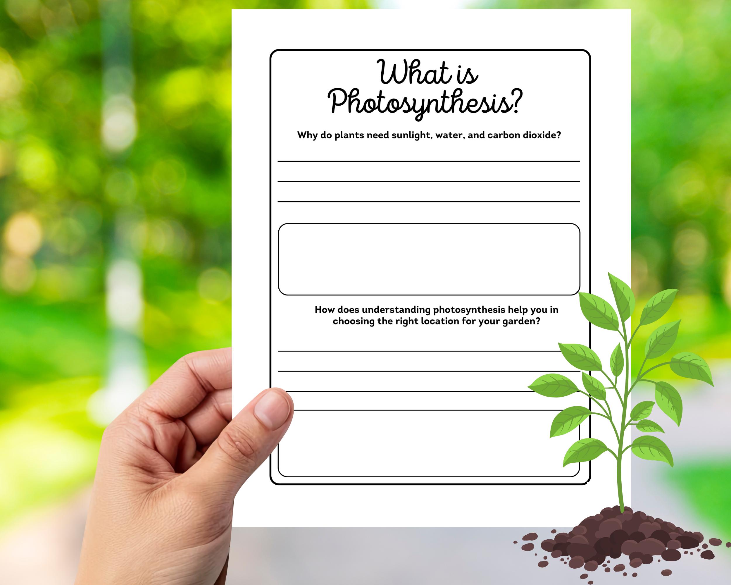 Photosynthesis Science Worksheets for Kids With Journal and Coloring ...